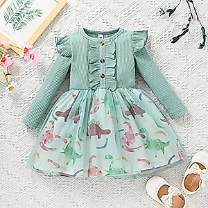 Baby Toddler Girls Fall Winter Long Sleeve Dress Floral Princess Casual Dress Kids Ribbed Tutu Skirt