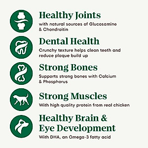 Nutro Core Dry Dog Natural Choice Chicken & Brown Rice Recipe, Dry Dog Food for Large Breed Puppies, 13 lb. Bag