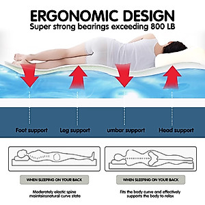 95% Small Wave Waterbed Mattresses－Intelligent Constant Temperature Full Size Water Bed, No Frame Needed Square Waterbed Mattress, Water and Air Dual Purpose Waterbed (Queen-60x80)