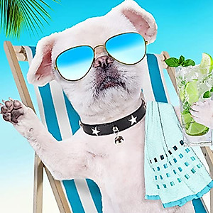 Dog Collar, Dog Collars with Bell, Adjustable PU Leather Buckle Pet Necklace with Star Studded Leather Pet Collar for Small Medium Large Dogs (S)