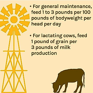 New Country Organics | Cattle Feed for Dairy Cattle | Soy-Free | 16% Protein | Certified Organic and Non-GMO | 40 lbs