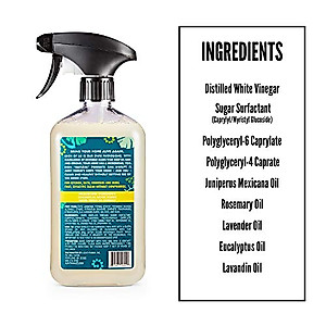 Aunt Fannie's All Purpose Cleaning Vinegar, Multisurface Spray Cleaner, 16.9 Ounces, Lemon Scent (Pack of 1)