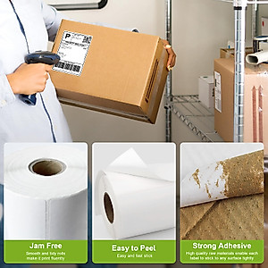 Anylabel Compatible 2" x 1" Direct Thermal Labels Replacement for Barcodes Postage Address Shipping Compatible with Rollo & Zebra Desktop Printers Adhesive & Perforated (12 Rolls, 1300 Labels/Roll)