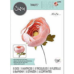 Sizzix Thinlits Die Set 5PK Ranunculus by Olivia Rose, 664925, One Size, Multicolor