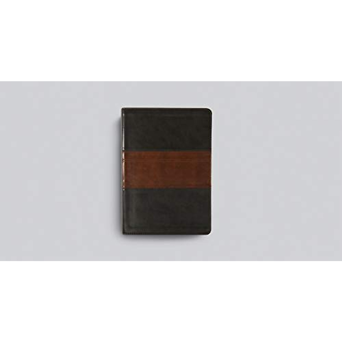 ESV Study Bible, Large Print (TruTone, Forest/Tan, Trail Design)