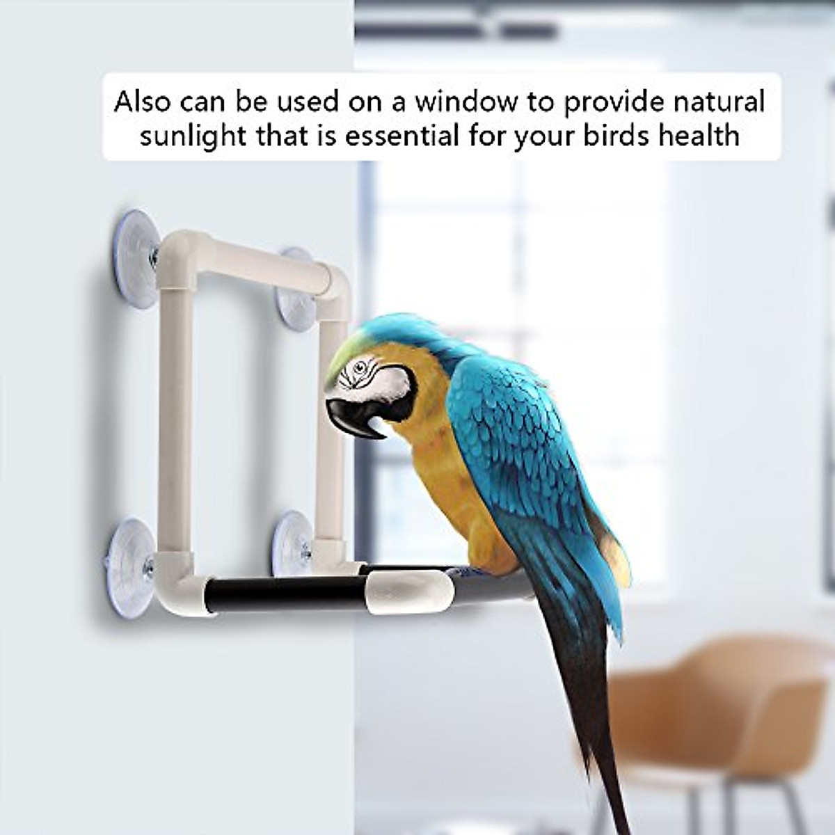 Tnfeeon Portable Birds Shower Perch, Parrots Stand with Suction Cups Window Shower Bath Wall Standing Toy for Medium and Small Parrots Birds