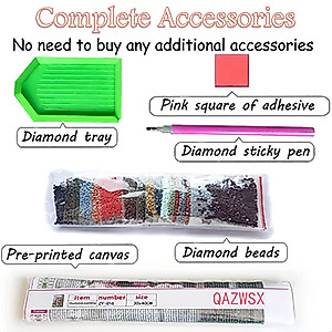 DIY Diamond Painting Sad Angel 5D Full Round Diamond Crystal Rhinestones Adult by Number Painting Art Kit Wall Decor Gift 16x12 Inch