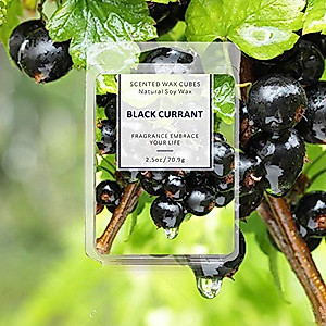 SCENTORINI Wax Melts, Wax Cubes, Soy Scented Wax Melts for Wax Warmer Mothers Day Decor, 4 Scents of Caramel, Espresso, Black Currant, Raspberry & Cinnamon, 4 x 2.5 oz