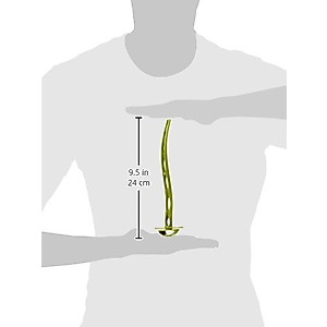 Vision Bird Cage Perch, Parakeet Perch, 2-Pack, Green, 83405