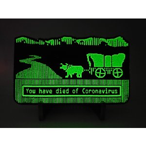 Glowing Challenge Coin - You Have Died of Corona - Like Oregon Trail You Have Died of Dysentery