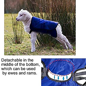 2 Pcs Goat Coat for Winter Goat Blanket Cold Weather Waterproof Windproof Goat Jacket Blanket to Keep Goat Warm Lamb Coat with Straps, Blue