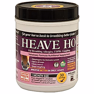 Heave Ho Horse Nutritional Supplement for Breathing Allergies, COPD, Coughing 30 Servings Sugar-Free Apple