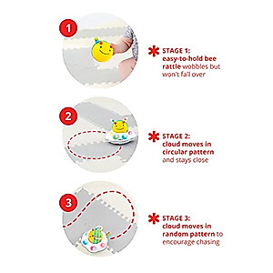 Skip Hop 3-Stage Developmental Learning Crawl Toy, Explore & More Follow-Me Bee