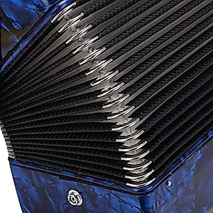 Accordion, 22 Keys 8 Bass Exquisite Celluloid Piano Accordion with Adjustable Straps, International Standard Professional Tuning Musical Instrument for Beginners Adults Stage Performance(Navy blue)