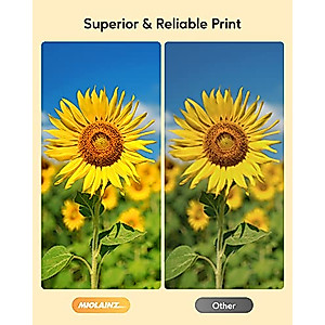 PGI-280 XXL/CLI-281 XXL Ink Cartridge 5 Color Value Pack Replacement for Canon 280 281 Ink Cartridges Compatible with Printer PIXMA TR8520 TR8620 TR7520 TR8600 TS6120 TR8500 TS6220 TS9120