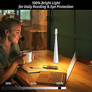 MESIYO Battery Cordless Table Lamp Cordless Led Portable Desk Touch Dimmable Night Light Ip54 Aluminum Indoor/Outdoor Lighting Control Light for Bedroom, Desk, Office