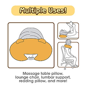 H HOMEWINS Travel Pillow for Kids Toddlers - Soft Neck Head Chin Support Pillow,Cute Animal in Any Sitting Position for Airplane,Car,Train,Machine Washable,Children Gifts(Lion)