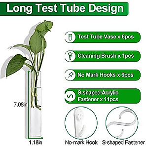 SPORTYOUTH 6Pcs Wall Hanging Glass Planter Terrariums Plant Propagation Stations Desktop Tubes, Large Cylinder Bud Vase Container for Hydroponics Plants Air Plants, Home Office Decor Kit