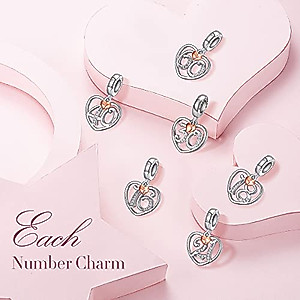 FOREVER QUEEN Number 60 Charm Fit Charm Bracelets 925 Sterling Silver Birthday Dangle Beads with 18K Gold Heart Shaped Pendant for Women Gift