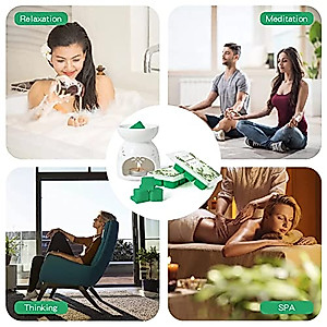 LA BELLEFÉE Scented Wax Melt, Smoke & Odor Eliminator Soy Wax Melts Wax Cubes, Strongly Scented Hand Poured Vegan Wax Melts for Home and Pet Odors, Eucalyptus & Sage(2.5oz/70.9g*6)