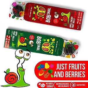 Healthy Snacks Variety Pack for Kids and Adults - Snack Box of 60 Fruit Roll Ups Individual Packs - Natural Fruit Leather of Apple Cherry Plum Pumpkin Mint - Vegan Low Carb Gluten Free Dried Fruit