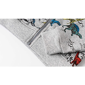 HUAER& Baby Boys' Cotton Cartoon Fox Zip Front Jacket Hoodie Sweatshirt (2-3T, Dinosaur)