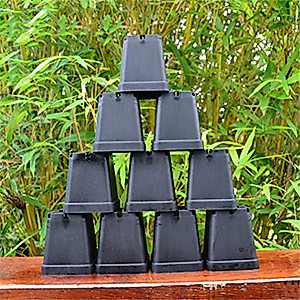 NUOBESTY 2 Inch Black Square Flower Pots Small Plastic Plant Pots 100PCS Square Flower Plant Pots Mini Succulent Pot for Cactus Bonsai