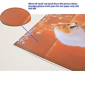 Koala Brochure Paper Double Side Glossy for Printing Photo 8.5X11 Inches 100 Sheets Compatible with Inkjet Printer 42LB
