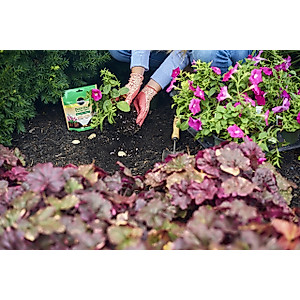 Miracle-Gro Quick Start Planting Tablets