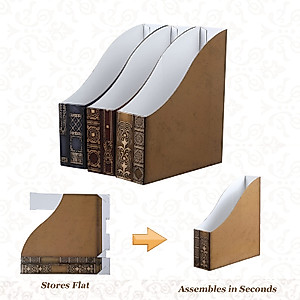 Geetery 6 Pcs File Magazine Organizer 3" x 11" x 12'' Decorative Classic Books Themed Magazine Holder Box Easy to Assemble Classic Books Magazine Rack File for Shelves Desk Home Classroom (Chic)