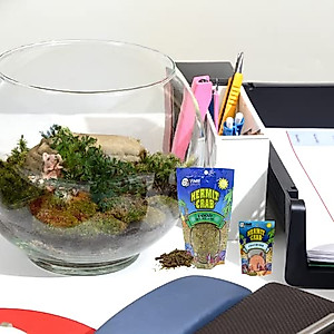 Hermit Crab Food and Calcium Block Set, All in One Natural Supplies and Habitat Necessities for Pet Crabs, 2 Pack, 4 Ounces