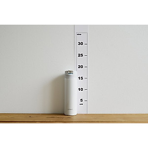 Tiger Stainless Mini Bottle 0.3L White Tiger Sahara Mug Bottle (MUJURYOKU) MMX-A030-WW