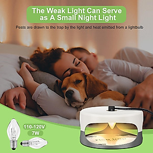 KILSACO Flea Trap for Inside Your Home 2 Packs - Premium Electric Flea Traps, Natural and Child-Friendly Indoor Flea Control for Home & Garage with 5 Glue Disc Refills and 5 Lightbulbs