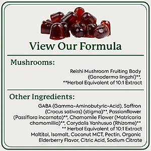 Plant People WonderSleep Mushroom Gummies Supplement for Sleep and Relaxation with Reishi Super Mushrooms, Wild Elderberry Flavor, No Sugar (60 Count)