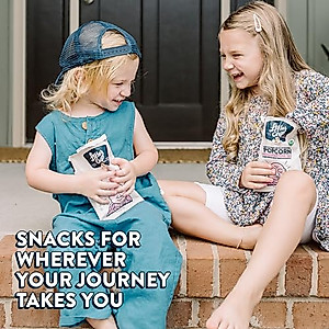 LesserEvil Himalayan Pink Salt Organic Popcorn, Premium Quality, Minimally Processed, No Vegetable Oil, 0.46 Oz, Pack of 24