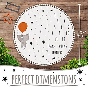 Milestone Blanket with Two Markers, Gender Neutral Baby Milestone, Baby Monthly Milestone, Baby Milestone Blanket, Baby Monthly Milestone Blanket, Baby Growth Chart Blanket (60"x40")