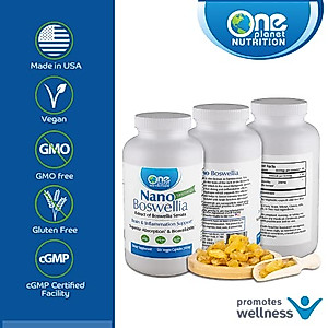 One Planet Nutrition Nano Ginkgo biloba 250 mg Veggie Capsules (120 Servings), Ginkgo biloba Extract, Nano for Higher Absorption, Improves Cognitive Function & Circulation, Non-GMO, Vegan, Gluten Free