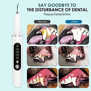 BETOPET Plaque Remover for Teeth - Dog Electric Toothbrush, 5 Modes Ultrasonic Dog Teeth Cleaning Kit, Effective Care of Teeth, Suitable for Dogs and Cats
