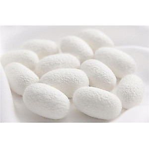 Women's 100% Mulberry Silk Scarf Floral Print Satin Long Scarf Wrap Shawl (Pxdy4)