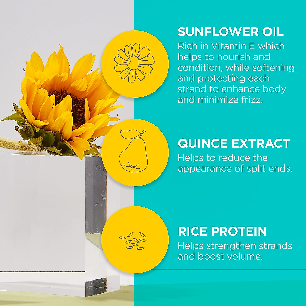 Andalou Naturals Brilliant Shine Hair Spray, Sunflower & Citrus, Styling and Hair Shine Spray with Medium hold, Tames Frizzy Hair & Flyaways, Quick Drying & Non-Sticky, Cruelty Free, 8.2 Fl Oz