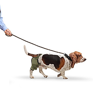 SSaYo Dog Knee Brace for Male/Female Dogs - Neoprene Support Dog Leg Braces for Back Leg with Adjustable Straps and Belt - Torn ACL Hind Leg, Ligament Injury, Joint Pain and Stability (Medium, Left)