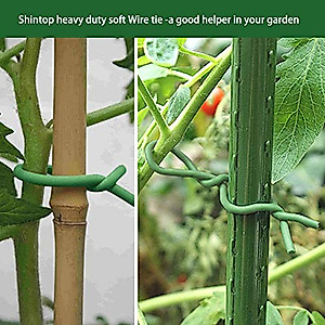 Reusable 3.5mm Garden Plant Twist Tie, Heavy Duty Soft Wire Tie for Gardening, Home, Office (Green, 65.6feet)