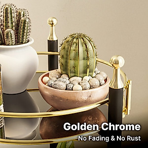 BENOLDY 2 Tier Plant Stand Table - Black Metal Frame with 2 Portable Golden Plate Tray, Plant Holder Stand, Serving Cart Tray and Wine Rack, Indoor/Outdoor Plant Shelf, Plant Pot Stand