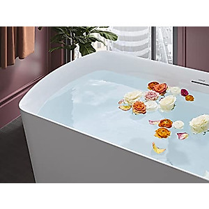 Kohler K-26080-0 Kohler K-26080 Irvine 67" x 31-1/2" Freestanding Bath