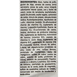 Royal Canin Chihuahua Adult Dry Dog Food, 10 lb bag