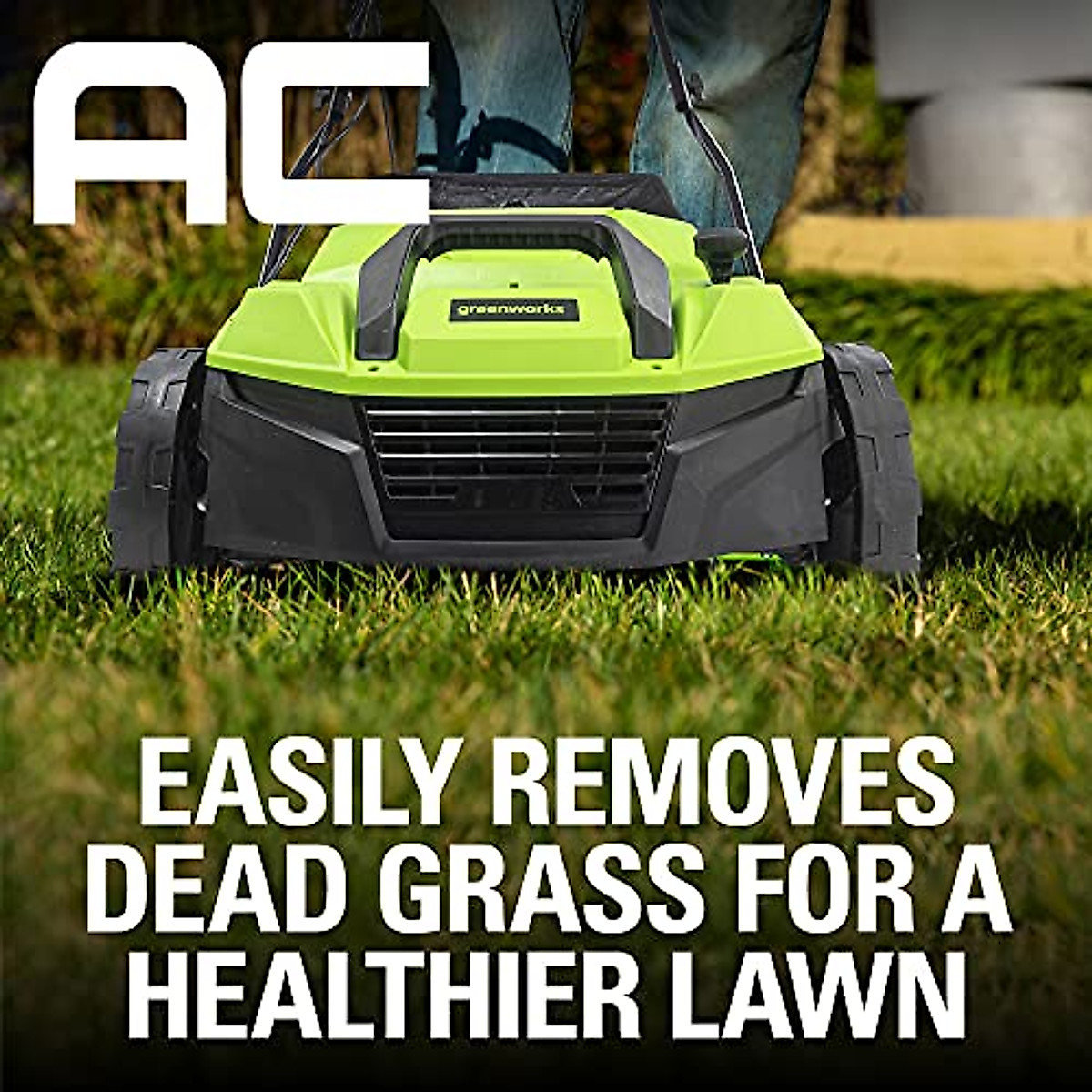 Greenworks 13 Amp 14-Inch Corded Dethatcher / Scarifier, DT13B00