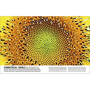 Trees, Leaves, Flowers and Seeds: A Visual Encyclopedia of the Plant Kingdom (DK Our World in Pictures)