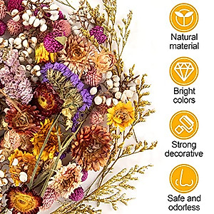 MEWTOGO 10.5Oz Hamster Bedding Decor - Natural Edible Dried Flowers Herb for Habitat Decor of Gerbils Hamsters Degus Mice Reptiles Bunny and Other Small Animals