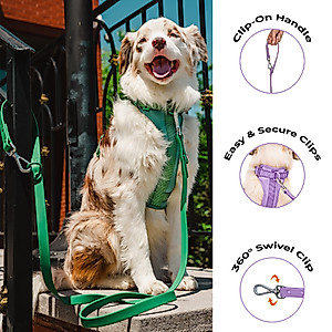 Dog Harness and Leash Set | BearBone No Pull Dog Harness and Waterproof Dog Collar and Leash Set | Heavy Duty Dog Harness, Leash and Collar | Medium Dog Harness, Leash and Collar (Lilac, Medium)