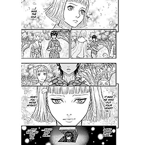 Berserk Volume 41 (Berserk (Graphic Novels))